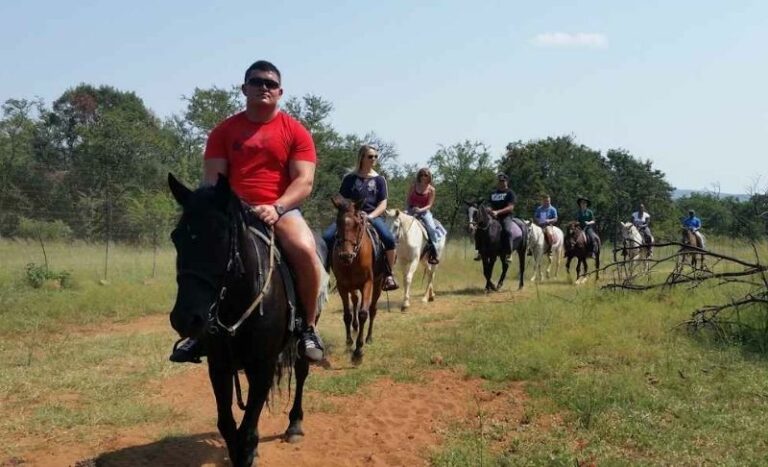 Looking For Things To Do During the School Holidays?