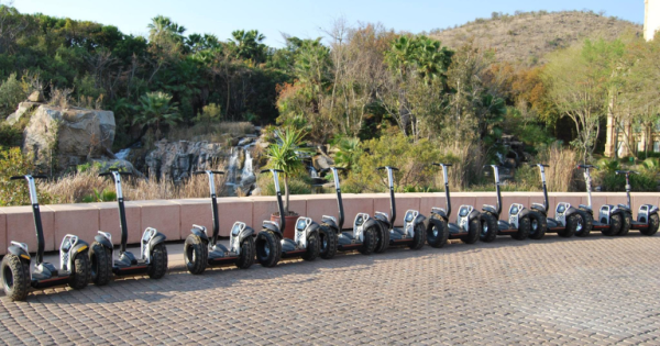 30 Things to do in Sun City | Daddys Deals