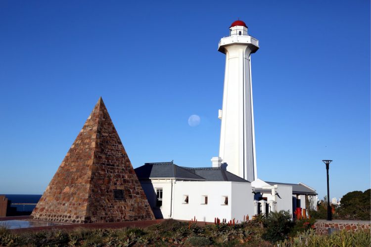 The 20 best things to do in Port Elizabeth | Daddy's Deals
