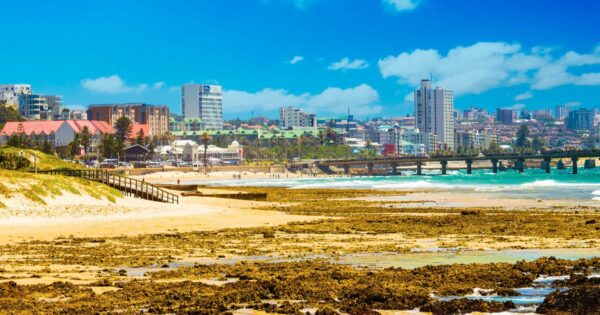 The 20 best things to do in Port Elizabeth | Daddys Deals