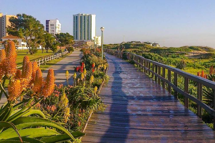 The 20 best things to do in Port Elizabeth | Daddy's Deals