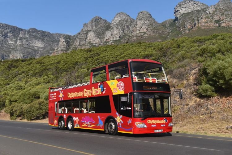 10 Things to do Alone in Cape Town | Daddy's Deals