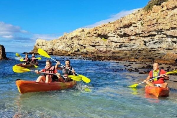 The 20 best things to do in Hermanus | Daddys Deals