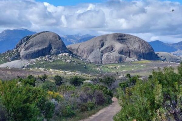 The 15 Best Things to do in Paarl | Daddys Deals
