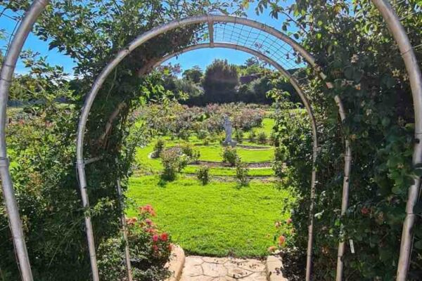 Things to Do in Durbanville | Daddys Deals