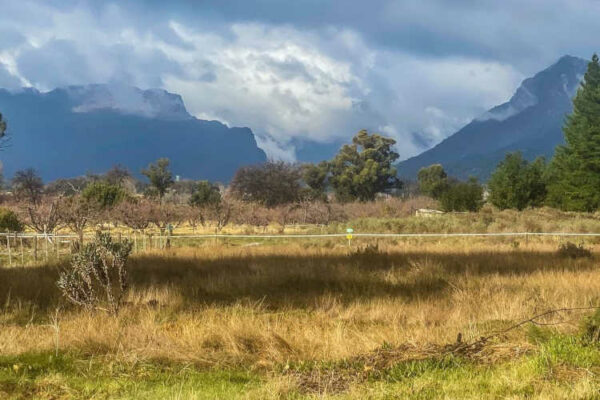 Things to Do in Ceres - 15 of the Greatest | Daddys Deals