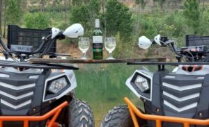 The Ultimate 50 Best Things To Do In Cape Town