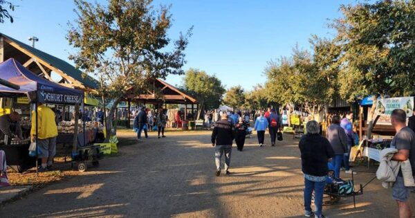 12 Markets in Pretoria | Daddy's Deals