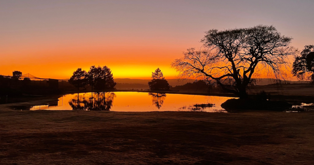 Things to do in Dullstroom | Daddy's Deals