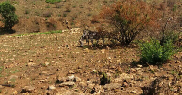 10 Fun Things to do in Centurion