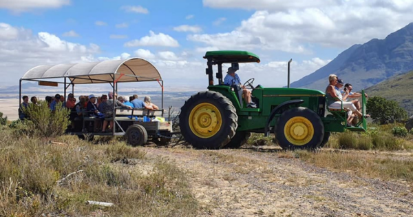 10 Fun things to do in Tulbagh | Daddys Deals