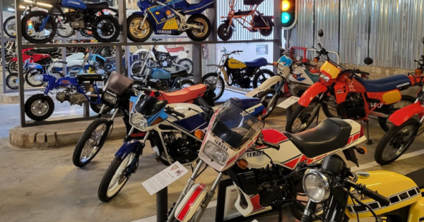 20 Incredible Things to do with Kids Along the Garden Route