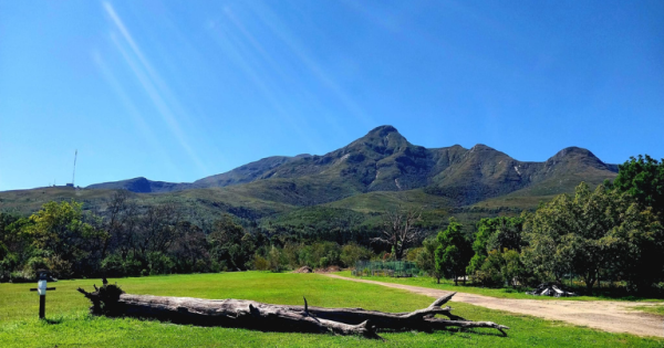 20 Incredible Things to do with Kids Along the Garden Route